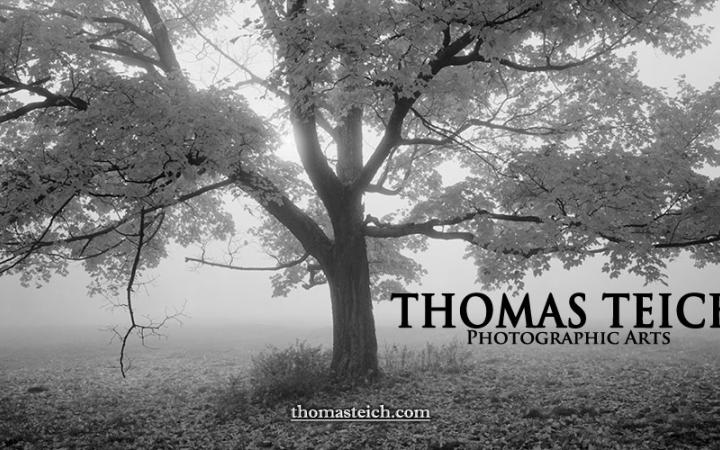 Thomas Teich Photographic Arts Studio & Gallery | Great Northern ...